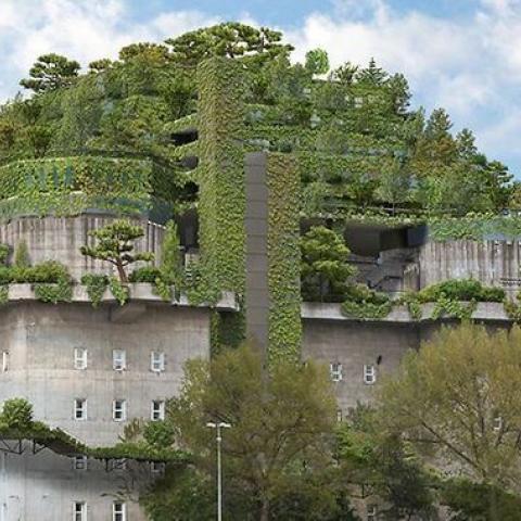 Green roofs in Hamburg | Urban Nature Atlas