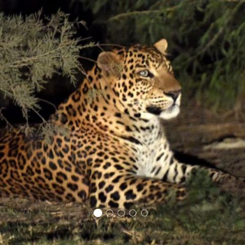 Delhi Biodiversity Parks | Urban Nature Atlas