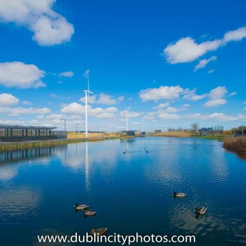 Father Collins Park | Urban Nature Atlas