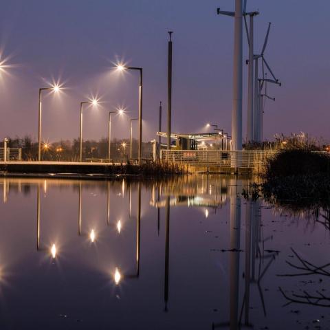 Father Collins Park | Urban Nature Atlas