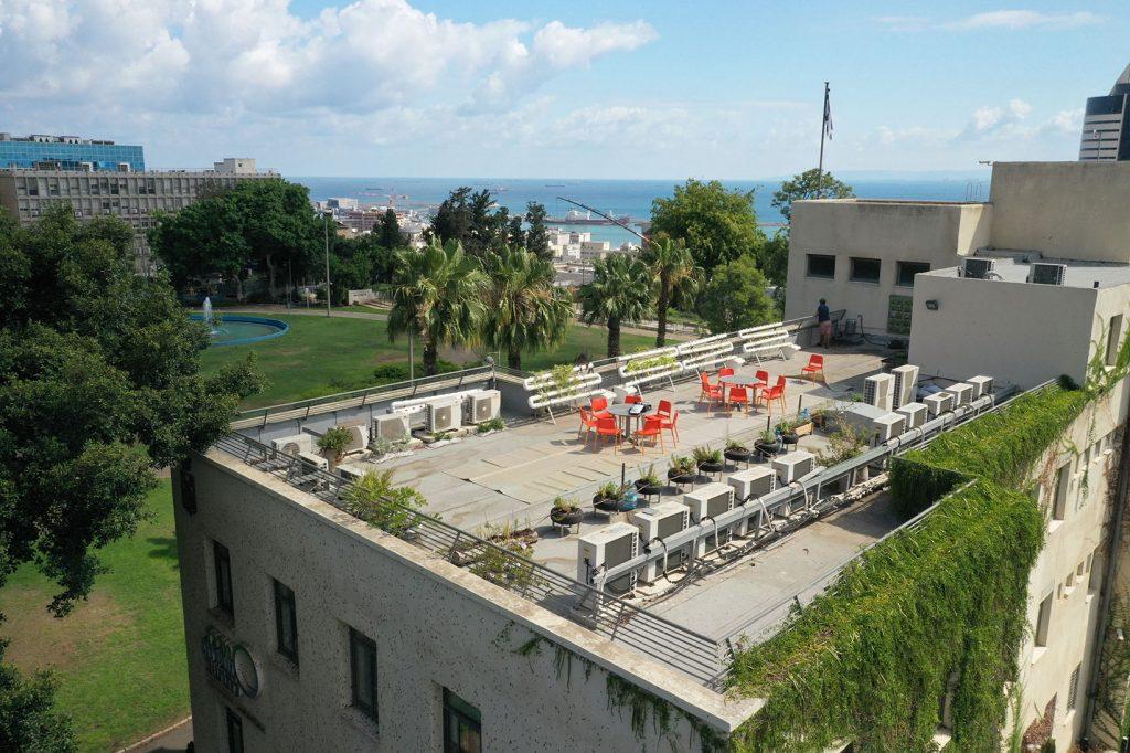 Haifa Green Roofs' project | Urban Nature Atlas