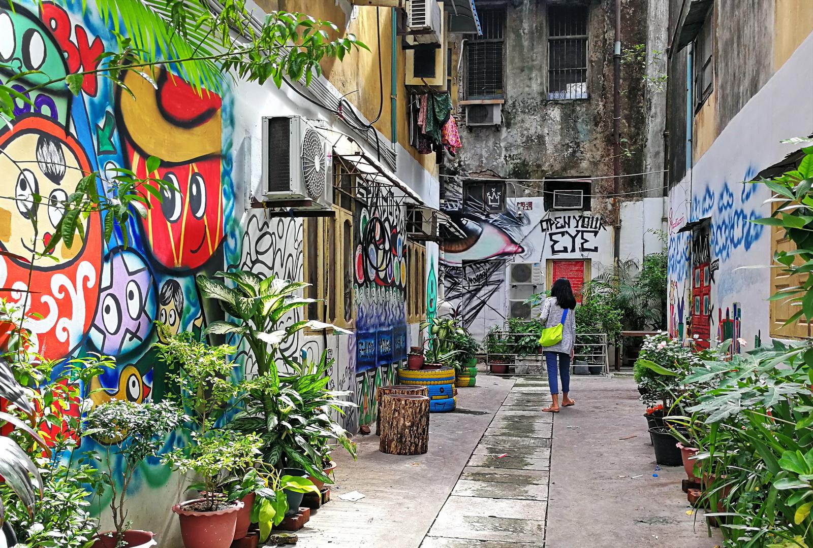 Yangon’s Alley Gardens Project | Urban Nature Atlas
