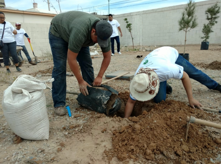 'United Way' annual tree planting campaign | Urban Nature Atlas