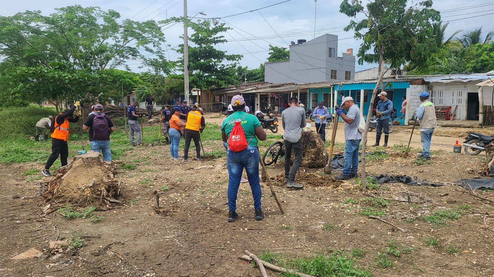 Tree planting in the El Pozón neighbourhood | Urban Nature Atlas